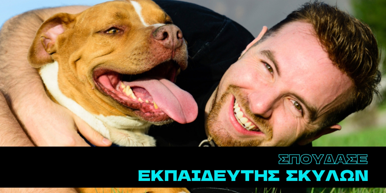 ΙΕΚ ΣΒΙΕ - ΣΒΙΕ |Δίπλωμα Εκπαίδευσης & Συμπεριφοράς Σκύλων